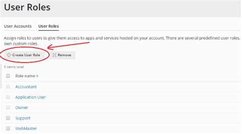 How To Create User Roles In Plesk Panel Id Support Portal