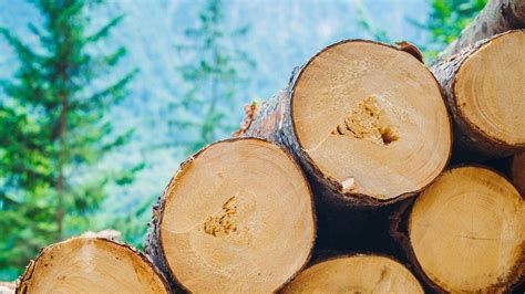 Enhancing Application Stability And Security With Heroku Logplex HackerNoon