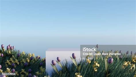 자연석과 꽃이있는 콘크리트 연단 포장 제품 프리젠 테이션을위한 빈 쇼케이스 화장품에 대한 배경 녹색 잎이있는 장면 받침대를 모의하십시오 3d 렌더링 0명에 대한 스톡 사진