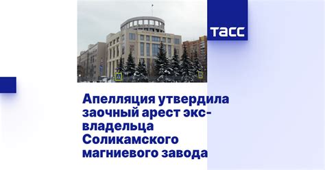 Апелляция утвердила заочный арест экс владельца Соликамского магниевого завода