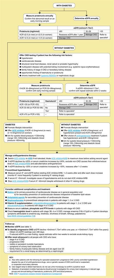 Early Identification And Management Of Chronic Kidney Disease In Adults NICE Guideline MIMS