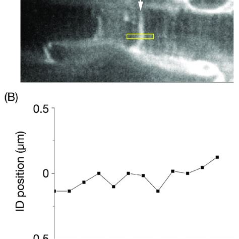Precision Analysis For The Longitudinal Position Of The Transitional Download Scientific