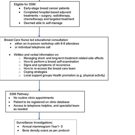 Supported Self Management Pathway For Breast Cancer Patients Download Scientific Diagram