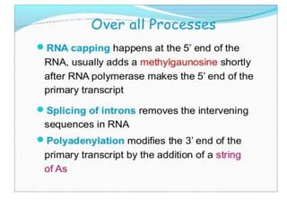 RNA Processing Post Transcriptional Modifications Splicing Capping Poly A Tail RNA Editing