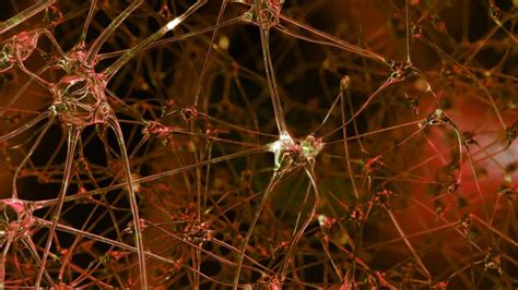 Premium Photo 3d Rendering Of Artificial Intelligence With Artificial Neural Network And Synapses