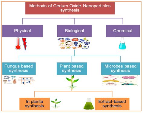 Green Cerium Oxide Nanoparticles Encyclopedia Mdpi