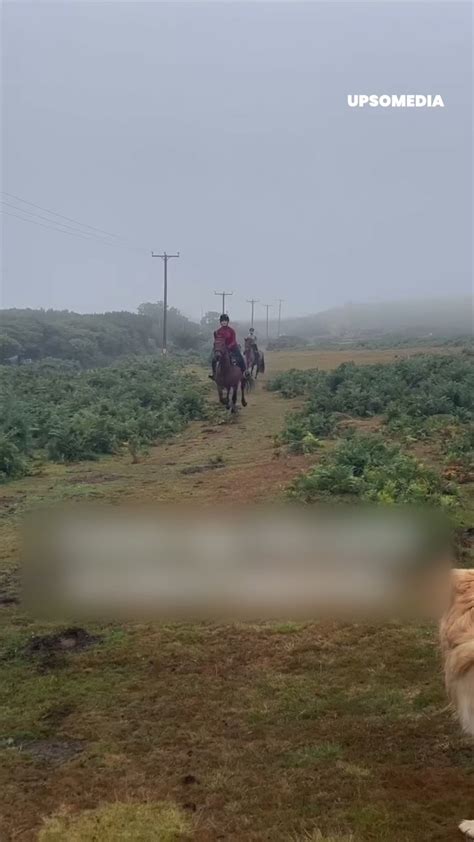 몰래 카메라에 한 소녀가 벽을 타고 올라가는 게 찍혔습니다 평범한 한 가족이 집에서 텔레비전을 보고 있었습니다 그런데 갑자기 한 소녀가 이상한 행동을 하기