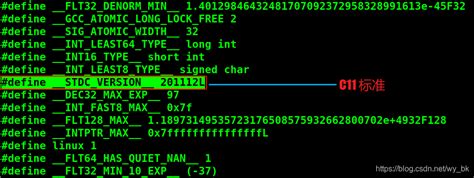 在 Linux 下的 Gcc 或 Clang 编译器中调用不同版本的 C 语言标准编译程序以及查看本机默认编译标准的方法查看clang支持的c标准 Csdn博客