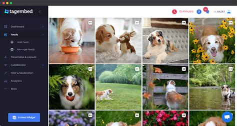 How To Embed Flickr Album On Website Tagembed