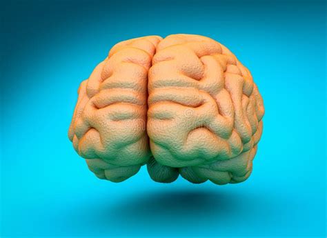 3d Render Of A Human Brain Stock Illustration Illustration Of Mind