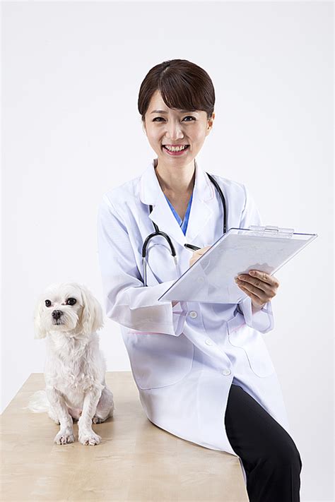 유토이미지 여자의사126