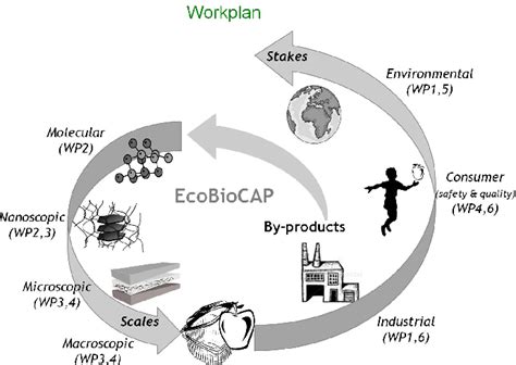 Figure 1 1 From Argumentation Based Preference Aggregation Semantic Scholar