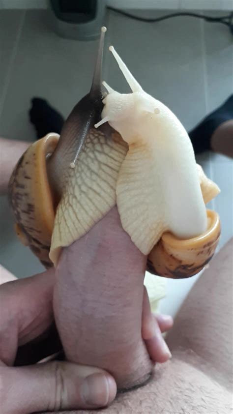 Snail Cumshot Zoo Tube 1