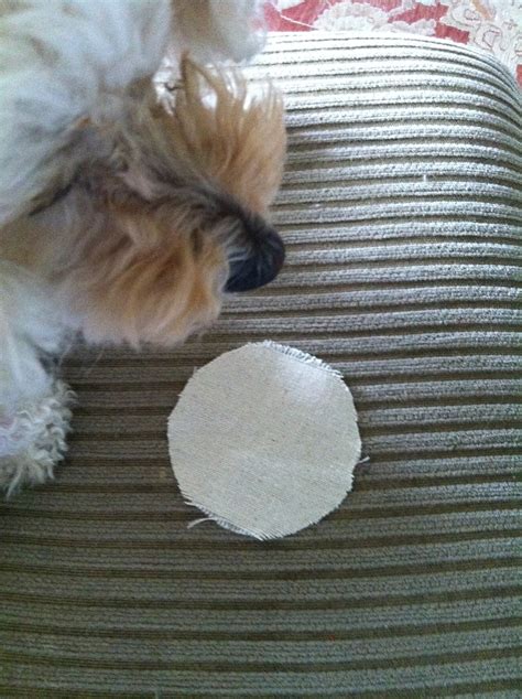 Ruffled Lamp Shade Tutorial Daily Dose Of Style