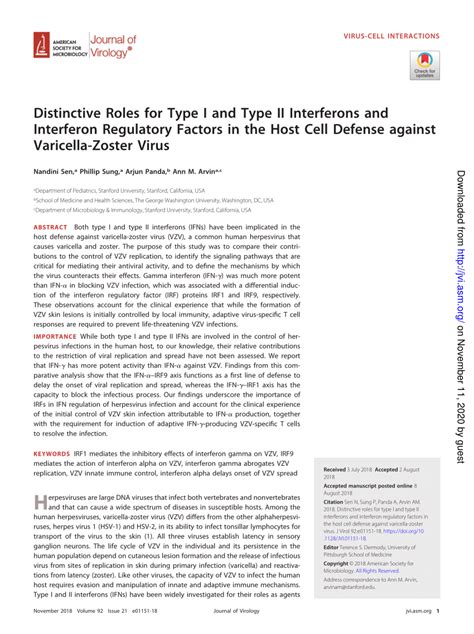 Pdf Distinctive Roles For Type I And Type Ii Interferons And