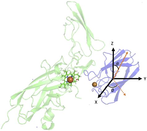Figure A3 The Snapshot Structure Of Pccyt F Complex At The Distance Download Scientific