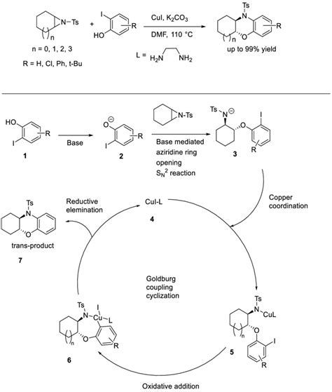 Copperiiodidek2co3 Effectively Promoted Cascade Process Involving Download Scientific