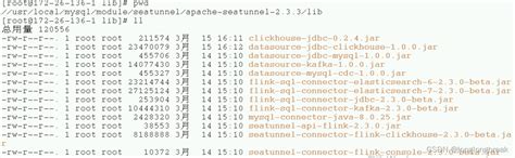 【保姆级教程】使用seatunnel同步kafka的数据到clickhouse seatunel 同步kafaka数据 csdn博客