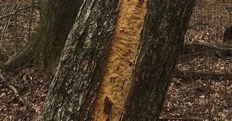 Unknown At Work Album On Imgur