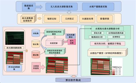 Estimation Scheme Of Rice Yield Based On Uav Hyperspectral Images