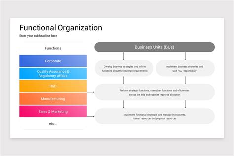 Functional Organization Powerpoint Template Nulivo Market