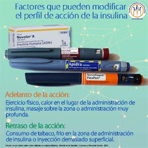 Diabetes Tipo 1 Ecuador Todo Lo Que Necesitas Saber Sobre Insulina