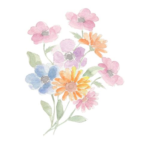 Daisy Watercolor Flower PNG Vector PSD And Clipart With Transparent Background For Free Daisy Watercolor Flower PNG Vector PSD And Clipart With Transparent Background For Free
