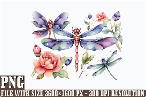 Watercolor Dragonflies Png Clipart Subli Graphic By T Shirtbundle