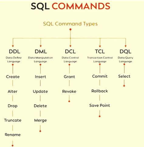 sqlqueries coding programming dataanalytics sql database… md