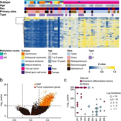 Dna Methylation Analysis A Dna Methylation Clustering In 51 Gct Samples
