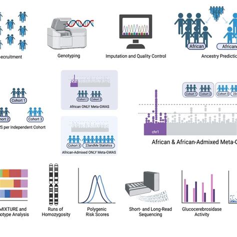 Miami Plot Comparing European Versus African And African Admixed Gwas