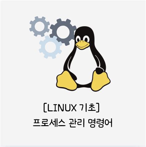 Linux 기초 프로세스 관리 명령어