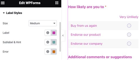 announcing elementor form styles and entry view settings