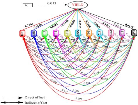 Path Diagram Of Different Yield Contributing Characters On Yieldplant