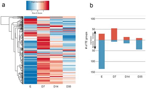 expression analysis of transposable elements a heatmap of