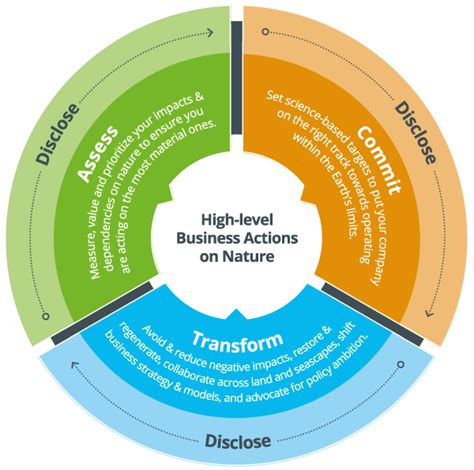 A Framework For Achieving Nature Positive Business Goals Cutter Consortium