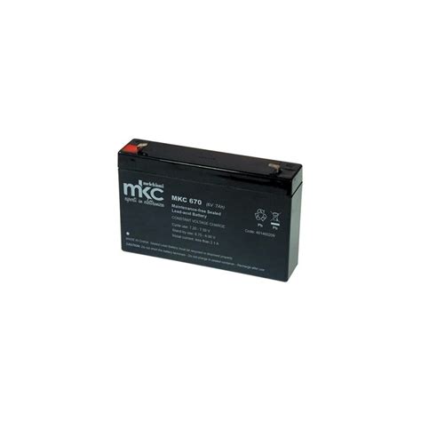 Batteria Al Piombo Ricaricabile V A Terminale Faston Mm Mkc Mkc