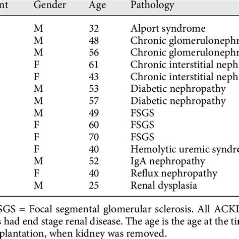 Demographic And Clinical Characteristics Of Ackd Patients Download Table