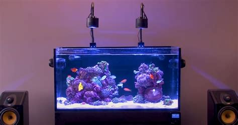 Best Reef Lighting Showdown 2023 Nano Reef Adviser