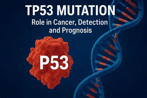 Tp53 Mutation Role In Cancer Detection And Prognosis