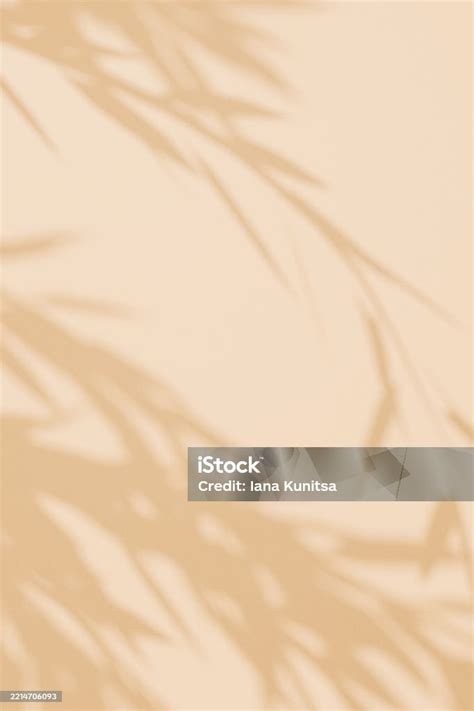 제품 프리젠테이션을 위한 추상적인 베이지색 스튜디오 배경 나뭇잎 그림자가 드리워진 텅 빈 방 복사할 수 있는 공간이 있는 3d 룸 여름과 봄의 컨셉 수직 배경입니다 0명에