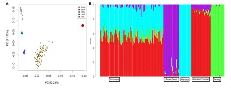 A Principal Component Analysis PCA Plot Showing Clustering Of Download Scientific Diagram