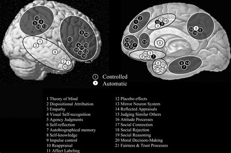 Neural Correlates Of Automatic And Controlled Processes From Multiple