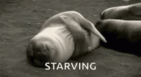 Starving S
