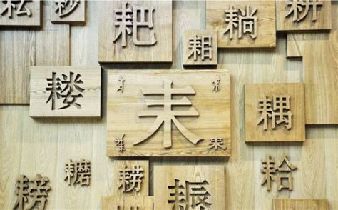 中国汉字的故事 百度知道