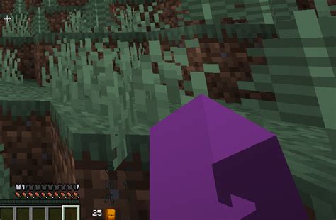 My Hand Or Hud It Slip Through Everything Java Edition Support