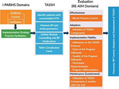 Overview Of I Parihs And Re Aim Download Scientific Diagram