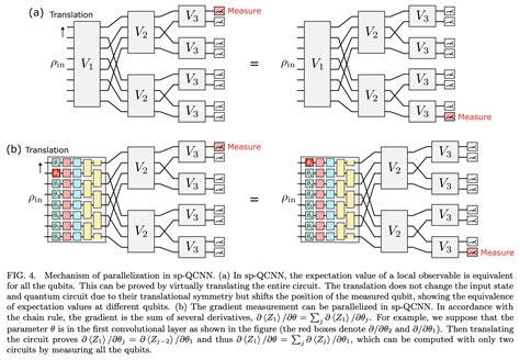 Splitting And Parallelizing Of Quantum Convolutional Neural Networks