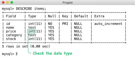 Using MySQL To Add Change And Drop Columns Progate Learn To Code Learn To Be Creative