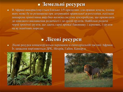 Презентація Африка